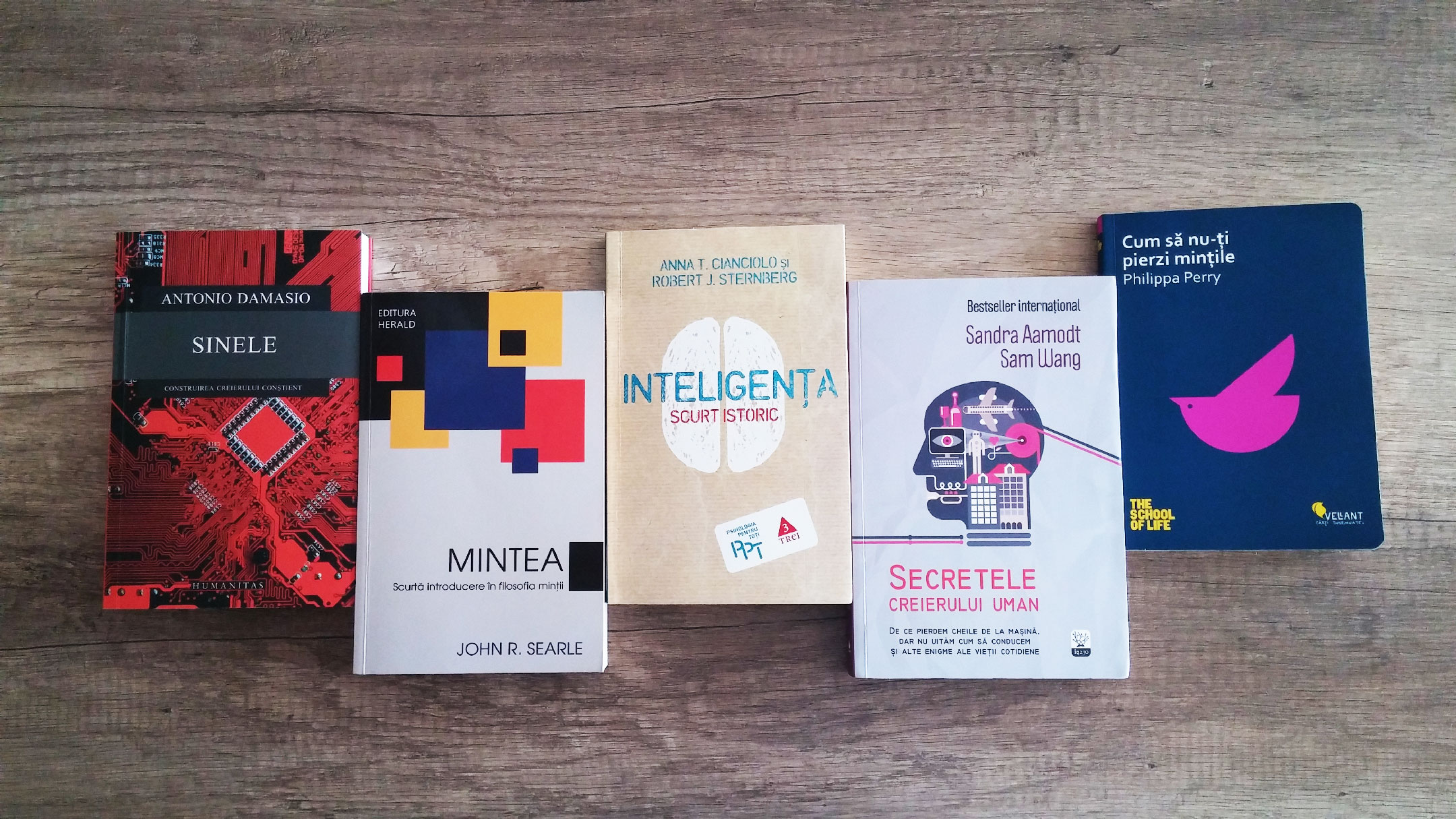 Listă de bookaholic: 5 cărți despre creierul uman